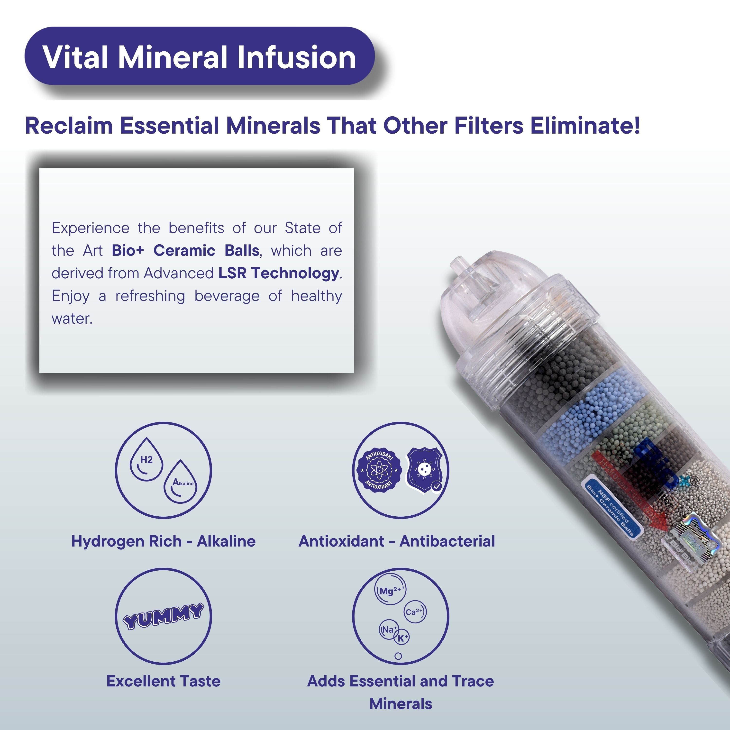 Buy Bio+ 8+ H2AAA Filter | BioPlus Store | NSF Certified Ceramics ...